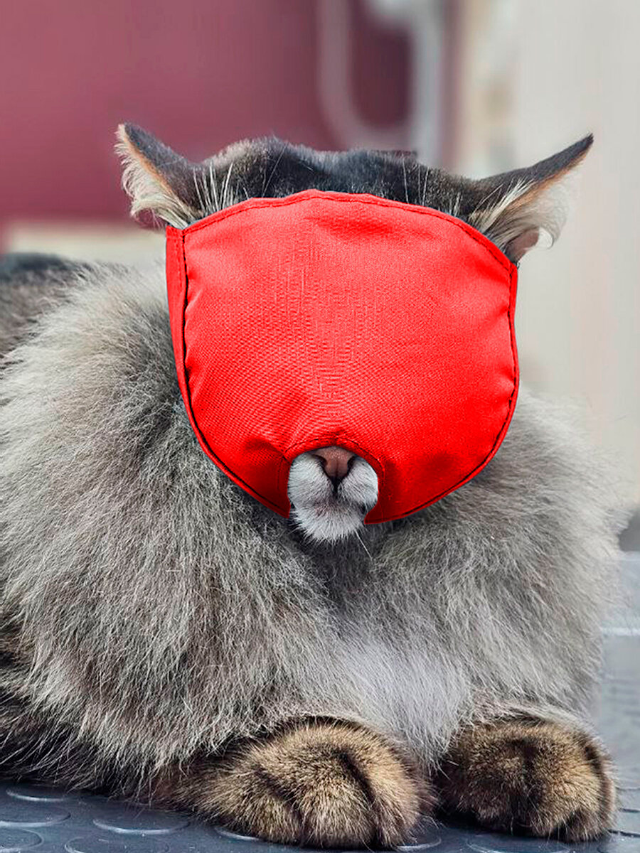Намордник для кошек ZooOne для защиты от укусов, для осмотра у ветеринара, для груминга, размер L (вес от 5,4кг) красный