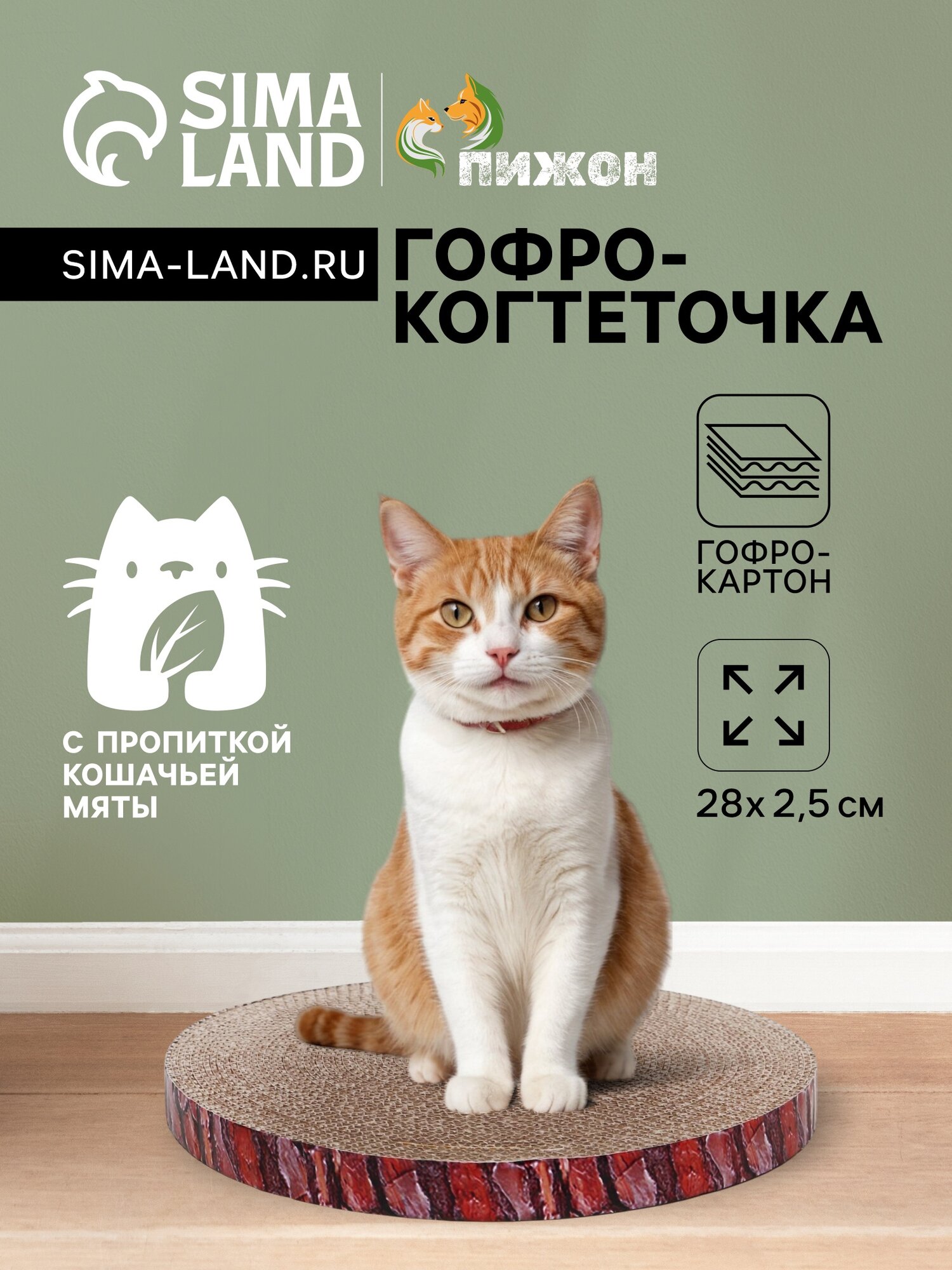 Гофрокогтеточка «Пижон. Спил сосны», 28×2.5 см, с пропиткой, круглая