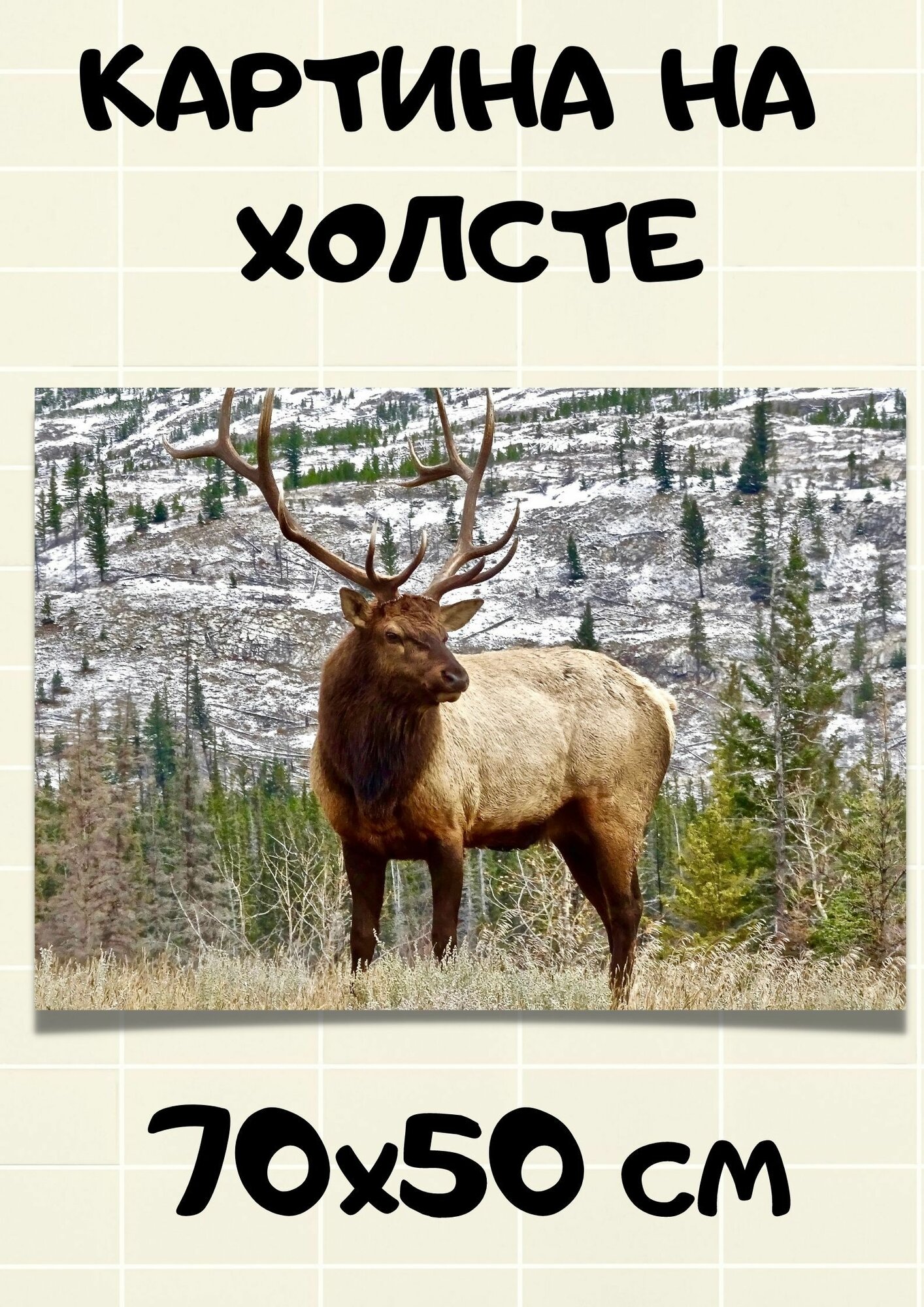 Картина с дикими животными "Мощный олень" 70х50 см