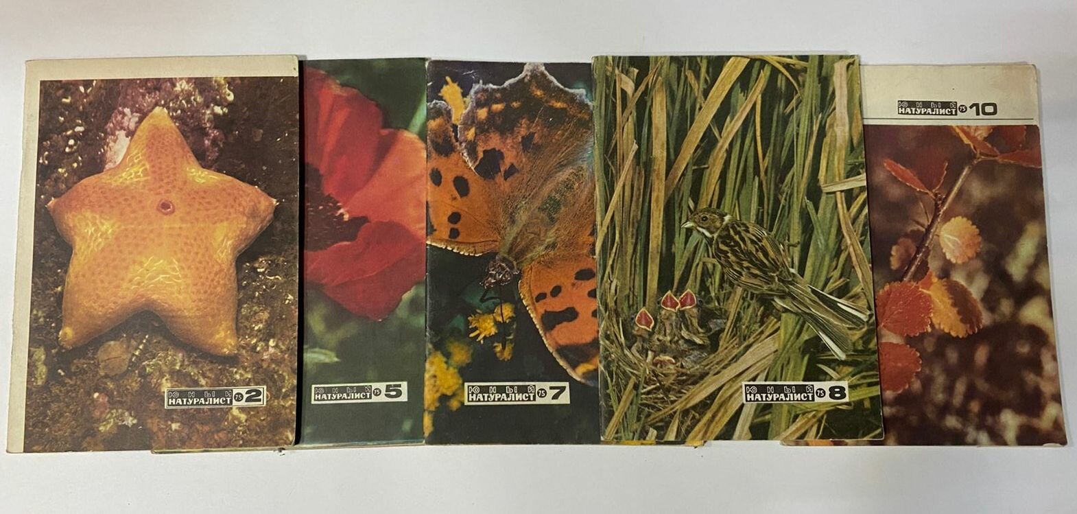 Журнал "Юный натуралист" 1975 (комплект из 5 журналов)