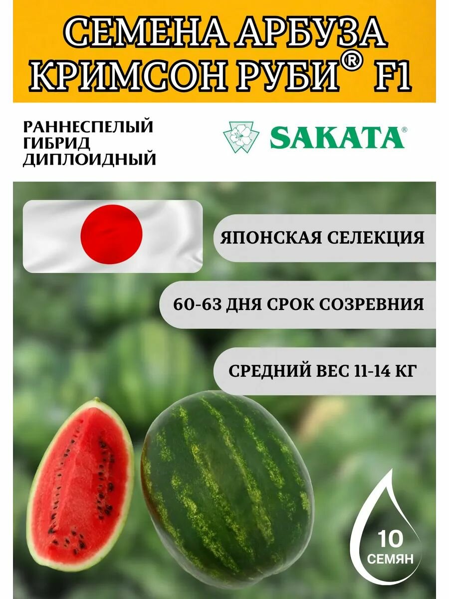 Семена арбуза Кримсон Руби F1 10 шт Sakata, профессиональные семена