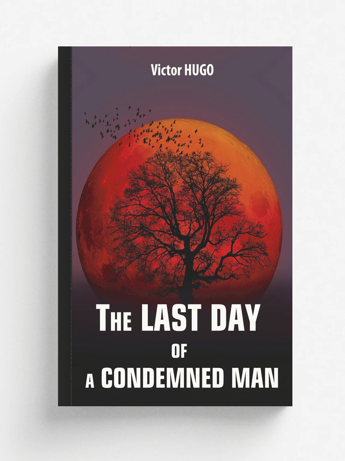 The Last Day of a Condemned Man