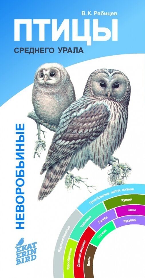 Птицы Среднего Урала. Воробьиные и неворобьиные. Веер-определитель