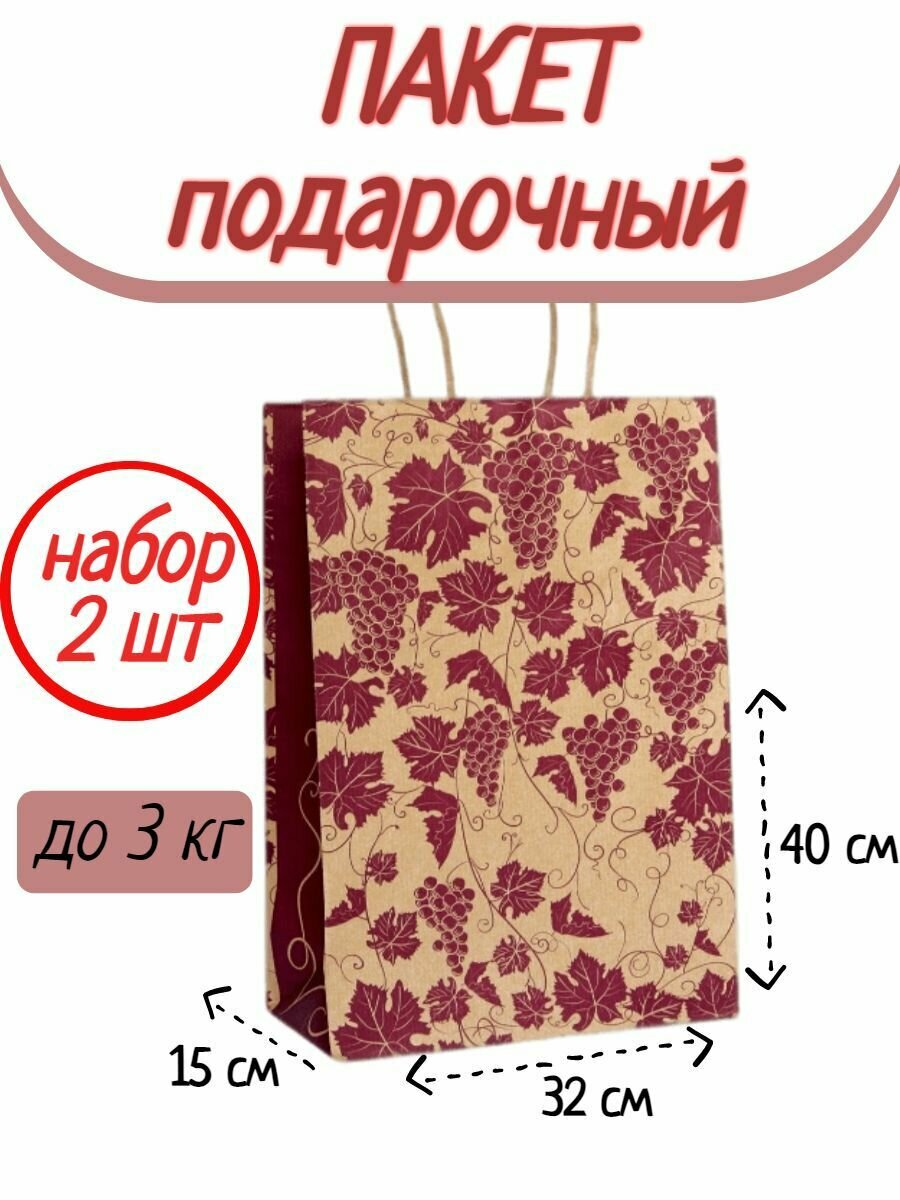 Пакет подарочный бумажный с принтом Виноградная лоза 32*40*15 см. набор 2 шт.