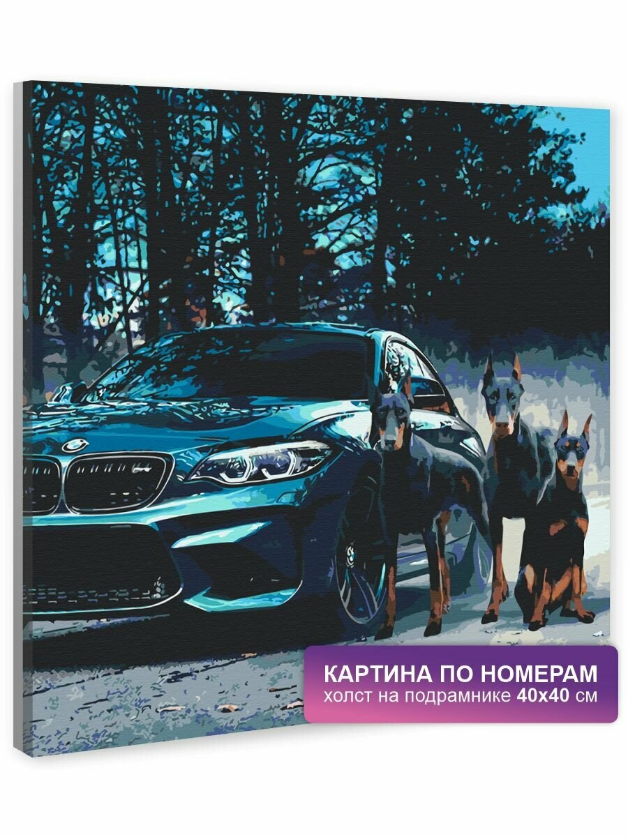 Картина по номерам на холсте с подрамником 40х40 см. Природа, животные, рыбы, птицы. Собаки, щенки. "Доберманы и BMW", арт. 3519/