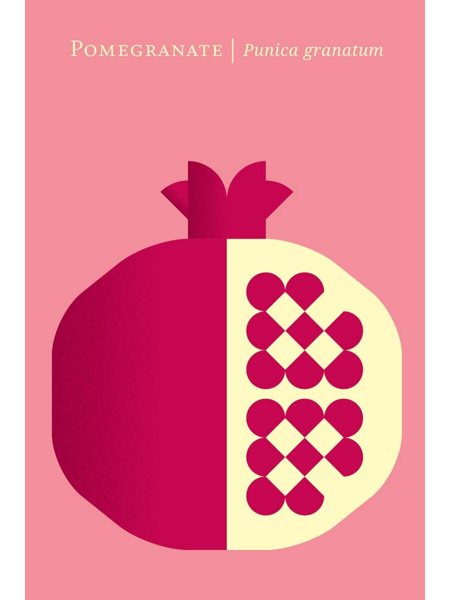 Постер "Гранат обыкновенный"