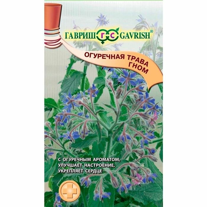 Огуречная трава Бораго Гном