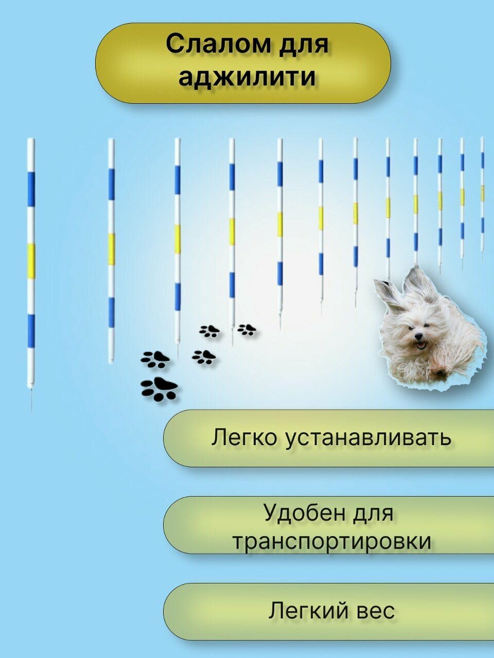 Слалом для аджилити (слалом для собак)