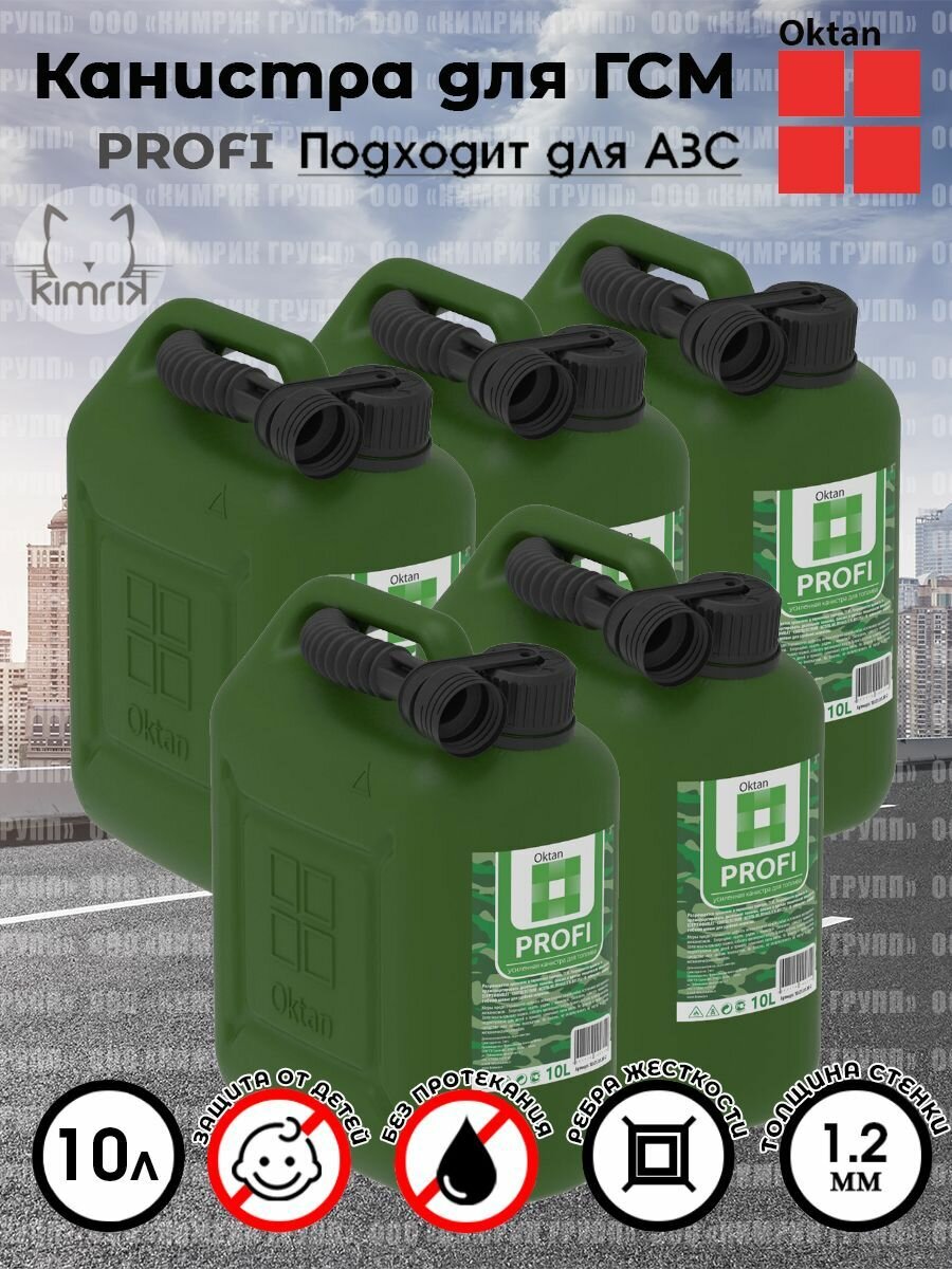 Канистра для бензина и масла PROFI пластиковая, зеленая, 5 штук по 10 л, с заливным шлангом в комплекте, Oktan