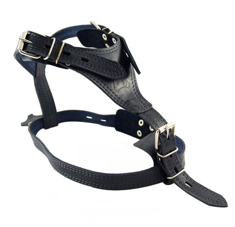 Шлейка для собак кожаная черная 3,5 см х 85 см ZooMaster (1 шт)