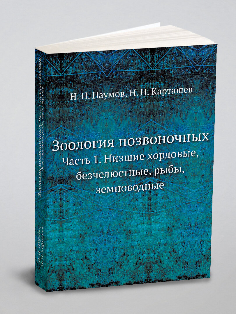 Зоология позвоночных. Часть 1. Низшие хордовые, беcчелюстные, рыбы, земноводные