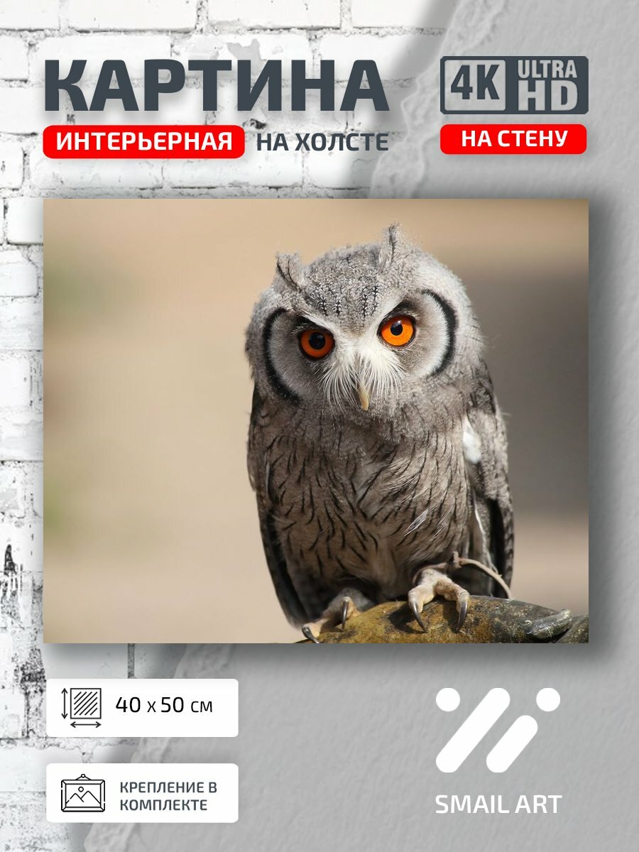 Картина на холсте интерьерная 40 на 50 на стену Птицы Landscape для кафе пейзаж интерьер