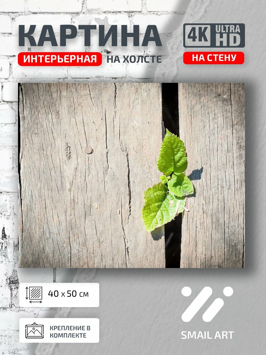 Картина на холсте интерьерная 40 на 50 на стену Доски board для кафе пейзаж интерьер декор