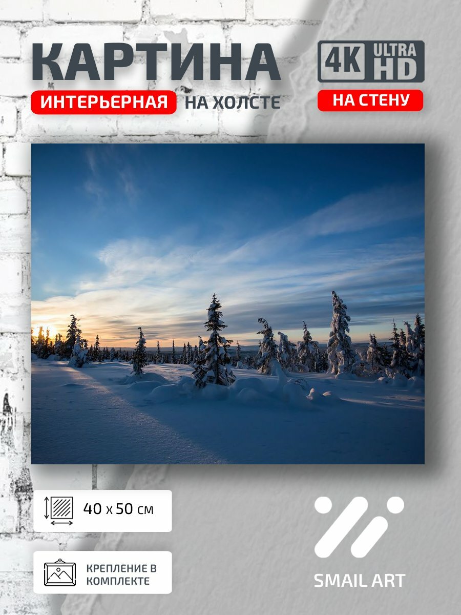 Картина на холсте интерьерная 40 на 50 на стену Степью Landscape для кафе пейзаж интерьер