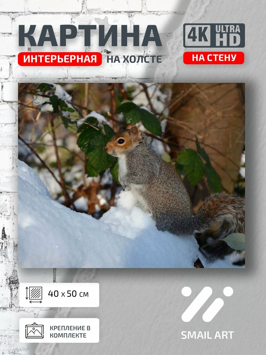 Картина на холсте интерьерная 40 на 50 на стену Снег Landscape для гостиной пейзаж интерьер