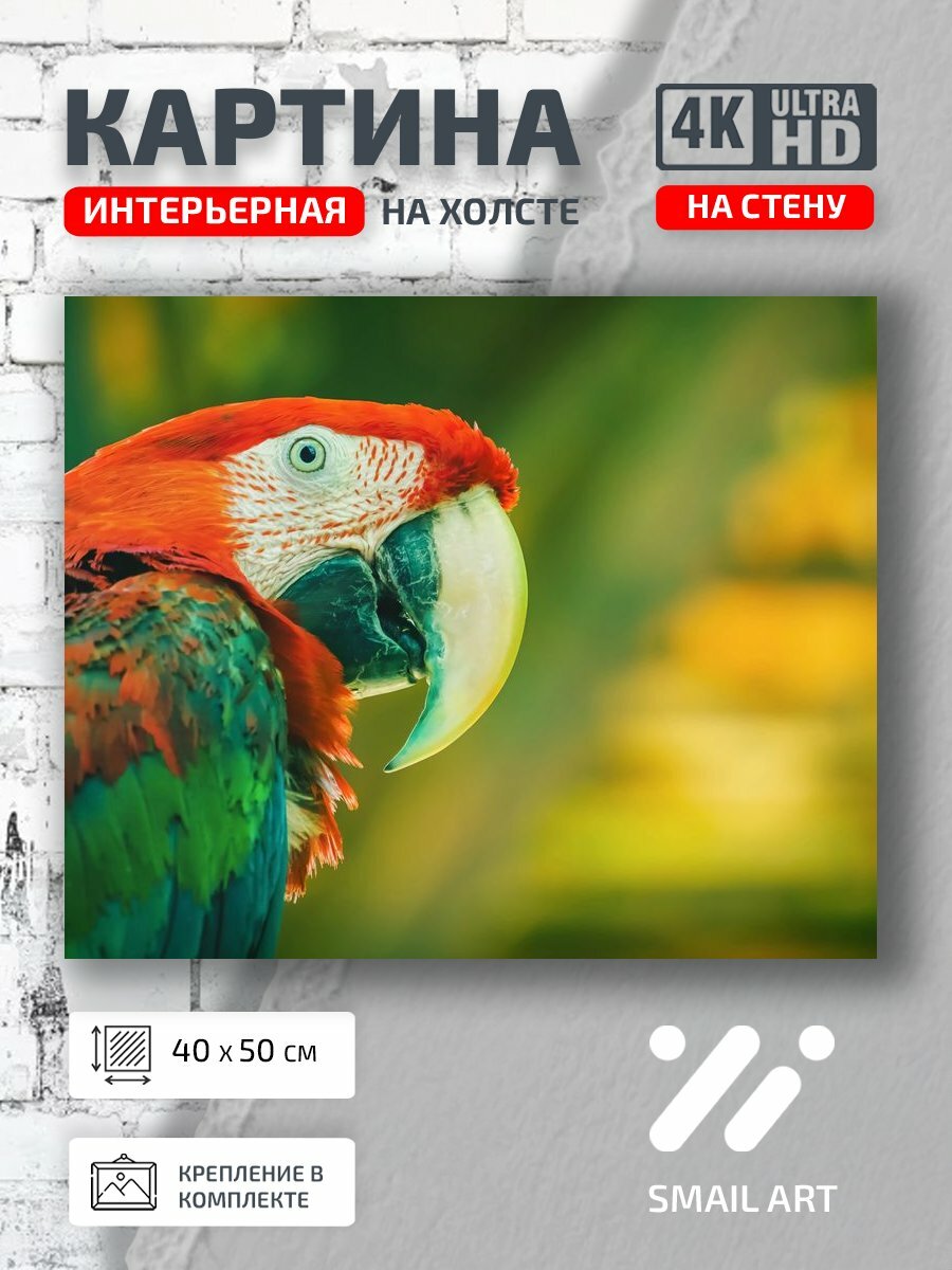 Картина на холсте интерьерная 40 на 50 на стену Клюв Mood для студии атмосфера интерьер
