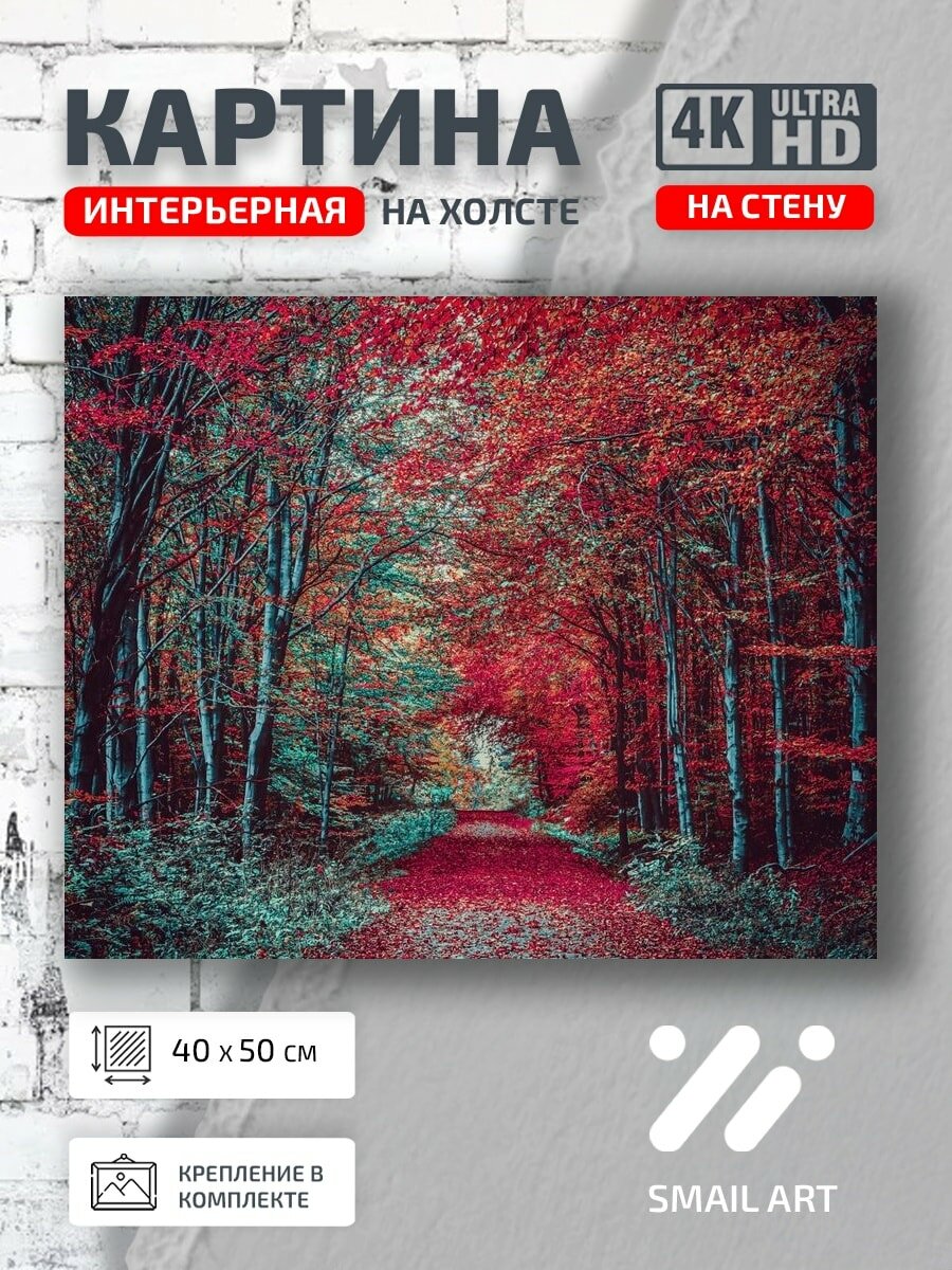 Картина на холсте интерьерная 40 на 50 на стену лесная тропа для кабинета пейзаж