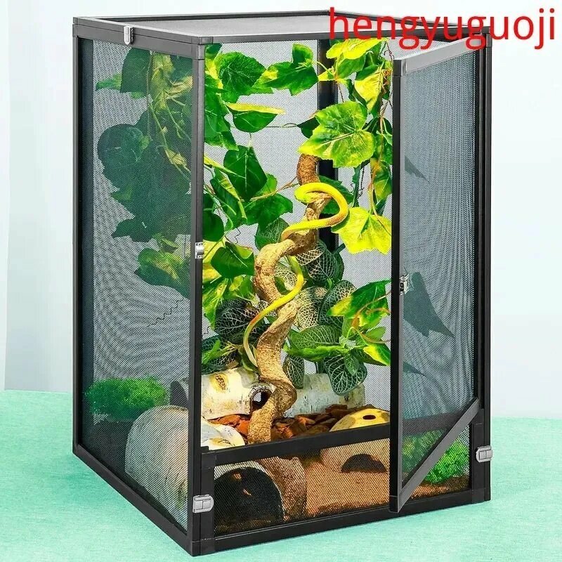 Террариум для рептилий: бананоеды, леопардовые гекконы, хамелеоны, бородатые агамы