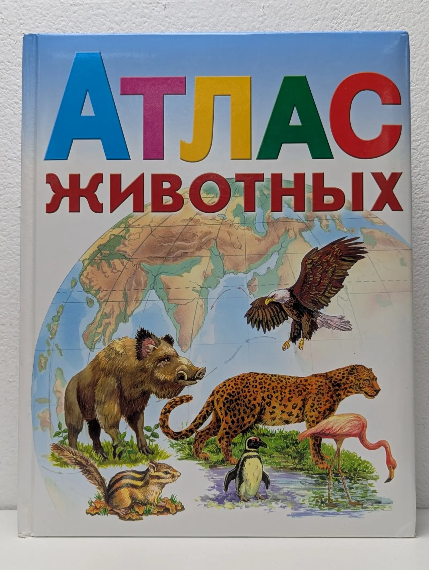 Атлас животных Школьник Юлия Константиновна, Золотарева Юлия Евгеньевна 2011