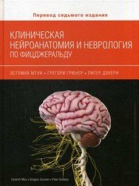 Мтуи Э, Грюнер Г, Докери П. "Клиническая нейроанатомия и неврология по Фицджеральду"