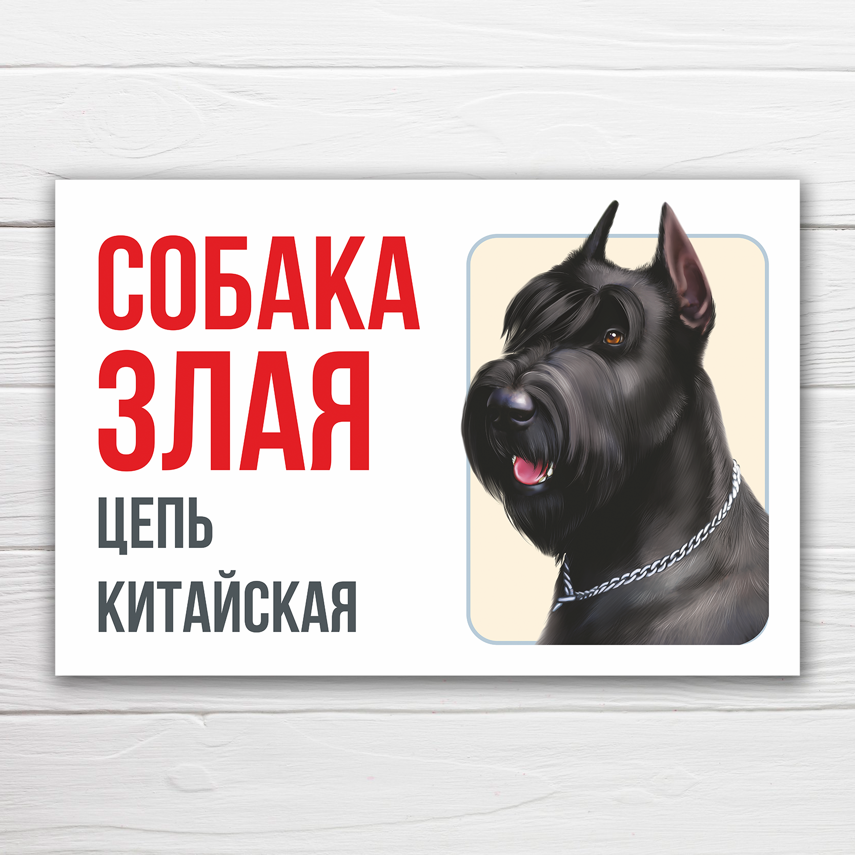Табличка "Собака злая, цепь китайская, ризеншнауцер", 41х27 см, ПВХ