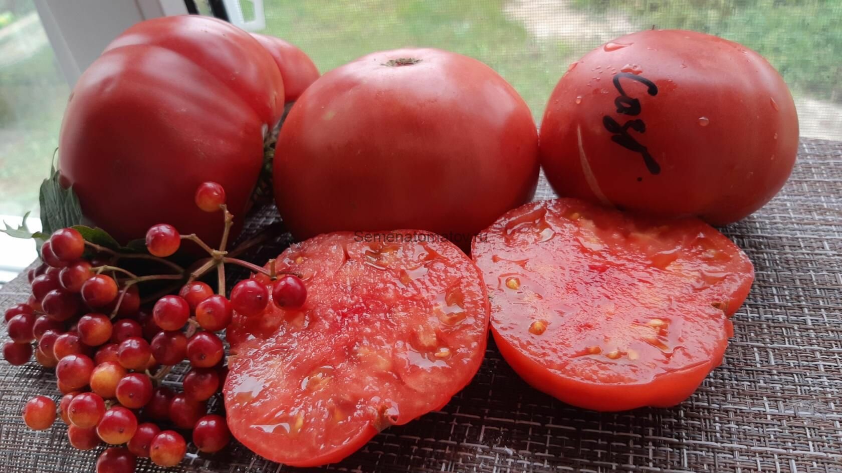 Коллекционные семена томата Пьянящий Алексабарета