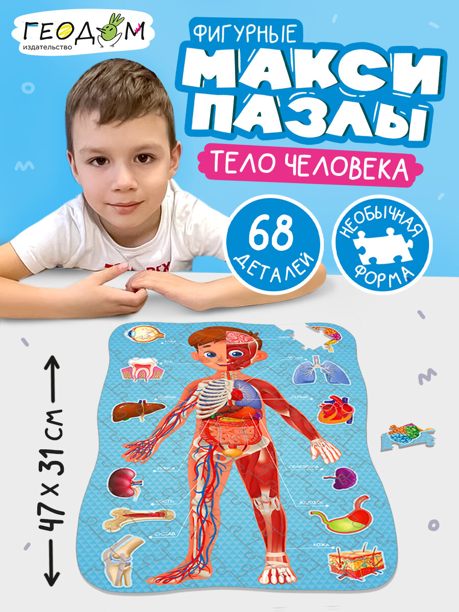 Макси Пазлы для малышей крупные. Тело человека