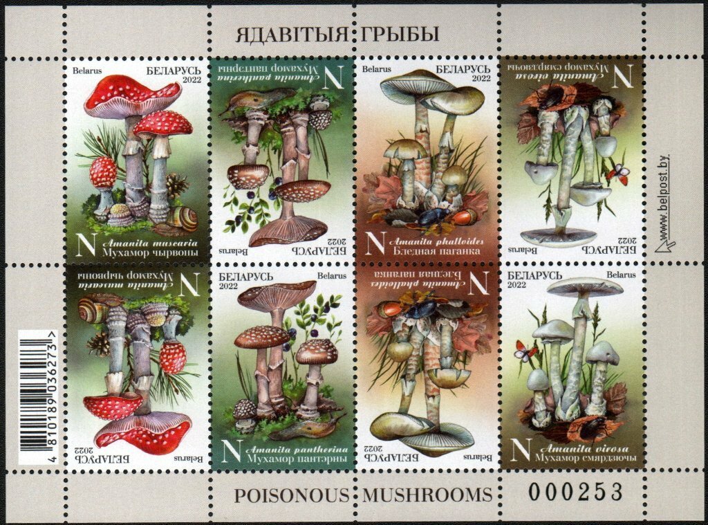 Почтовые марки Беларусь 2022г. "Ядовитые грибы" Грибы, Флора MNH