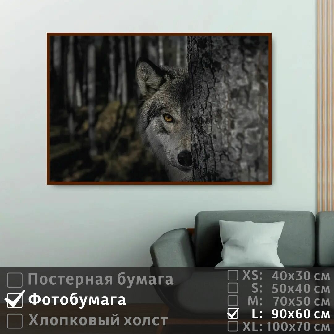 Постер на фотобумаге Взгляд Волка За Деревом В Темном Лесу 90х60 см ПолиЦентр