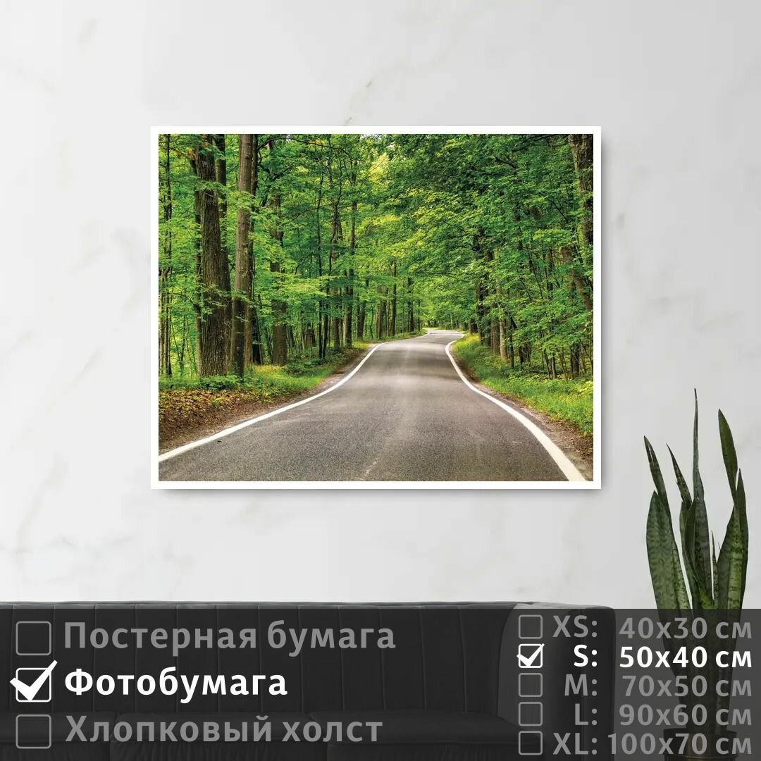 Постер на фотобумаге Дорога Уходящая Вдаль В Летнем Лесу 50х40 см ПолиЦентр
