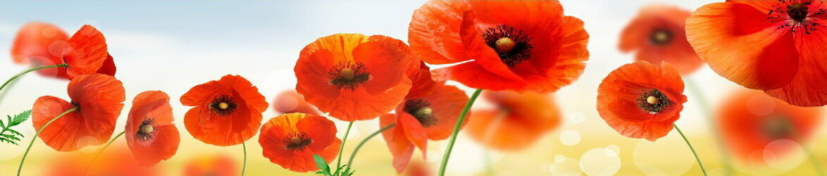 Кухонный фартук/стеновая панель МДФ для кухни 2800*600*6мм "BS-45"