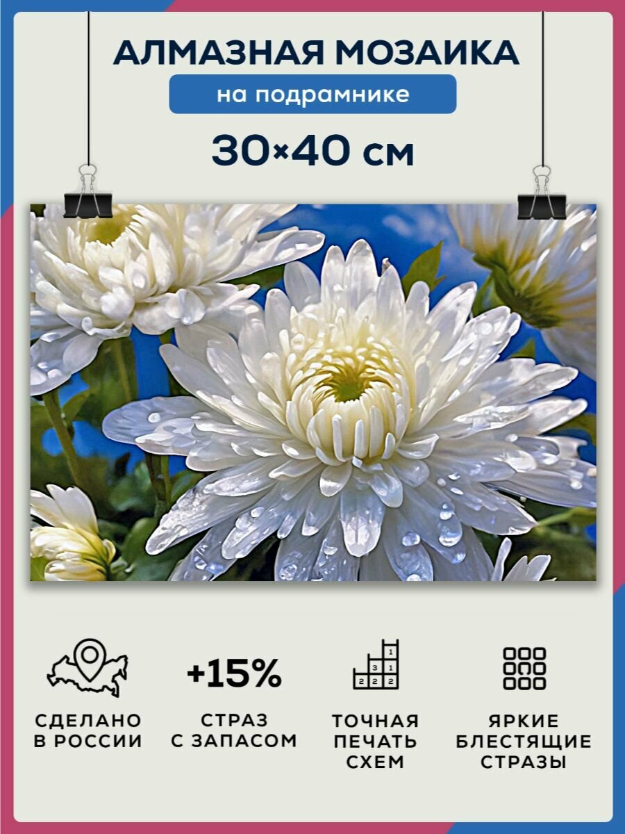 Алмазная мозаика 30x40 Хризантема на подрамнике
