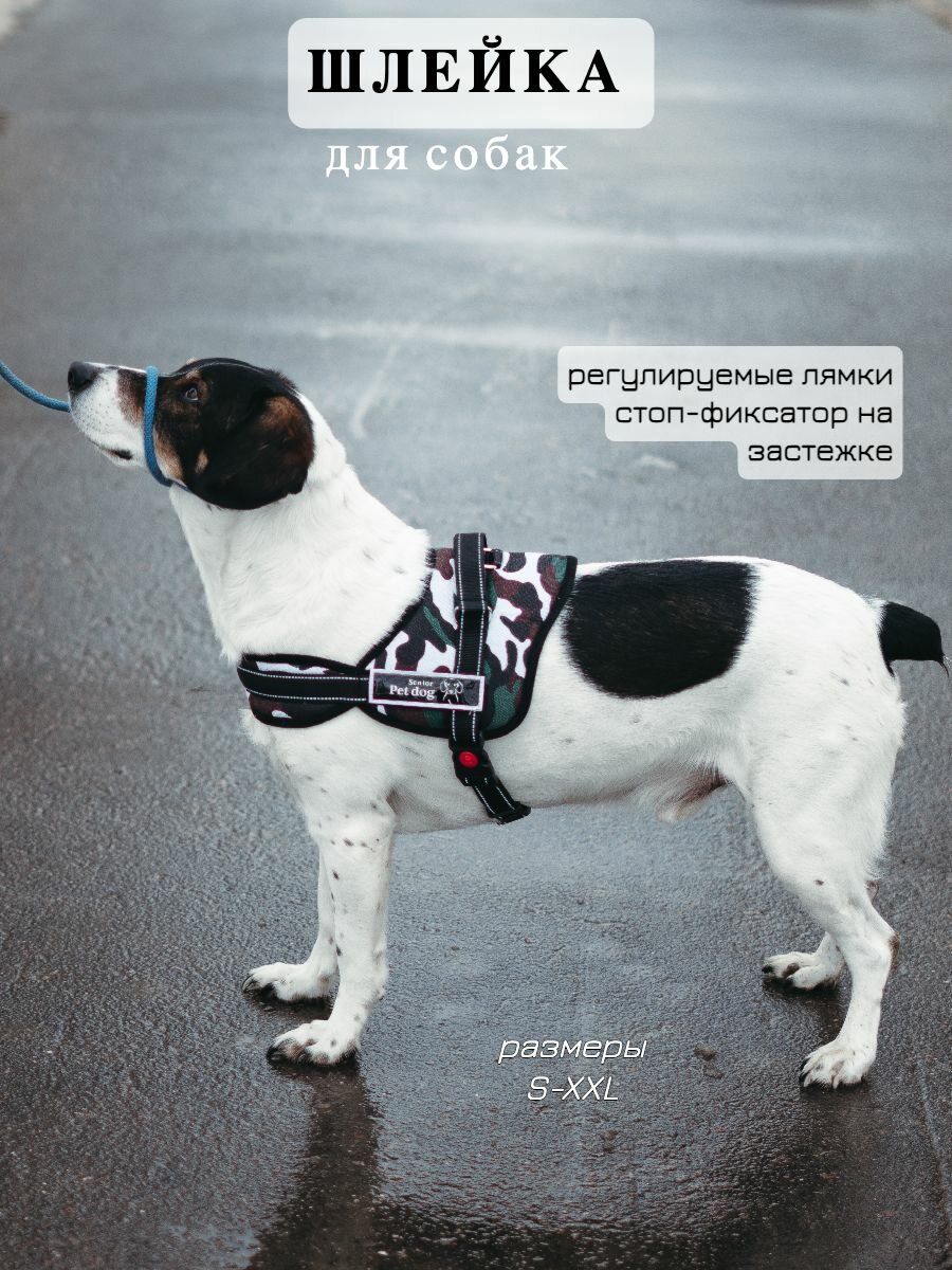 Шлейка для собак анатомическая, размер XXL, для крупных, средних и мелких пород средних и мелких пород