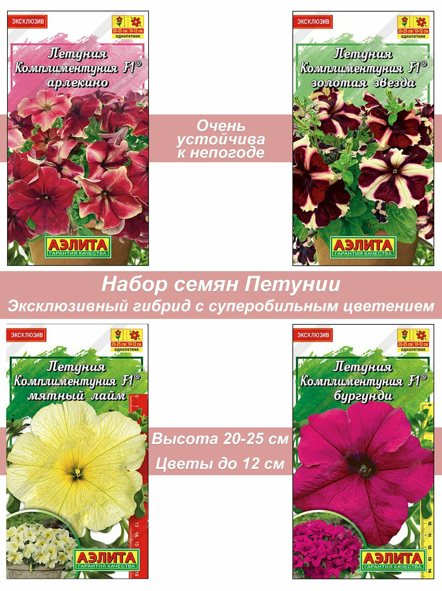 Семена цветов компактная многоцветковая Петуния Комплиментуния