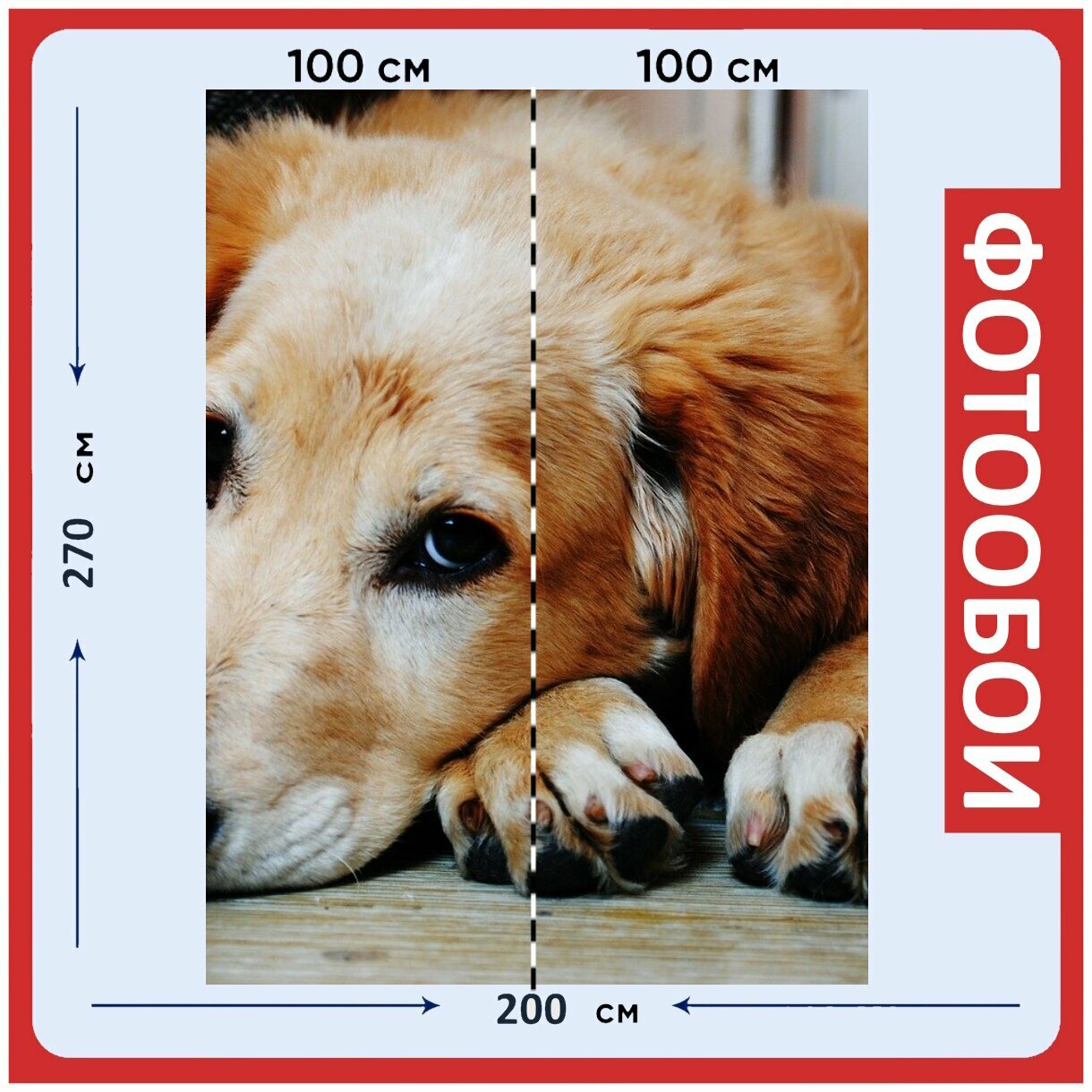 Фотообои "Собака, домашний питомец, щенок" 200x270 см. флизелиновыена стену