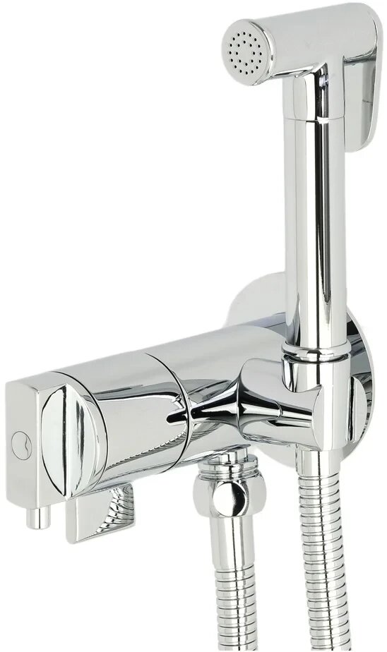 Гигиенический душ Migliore Fortis 31557 с термостатом, хром