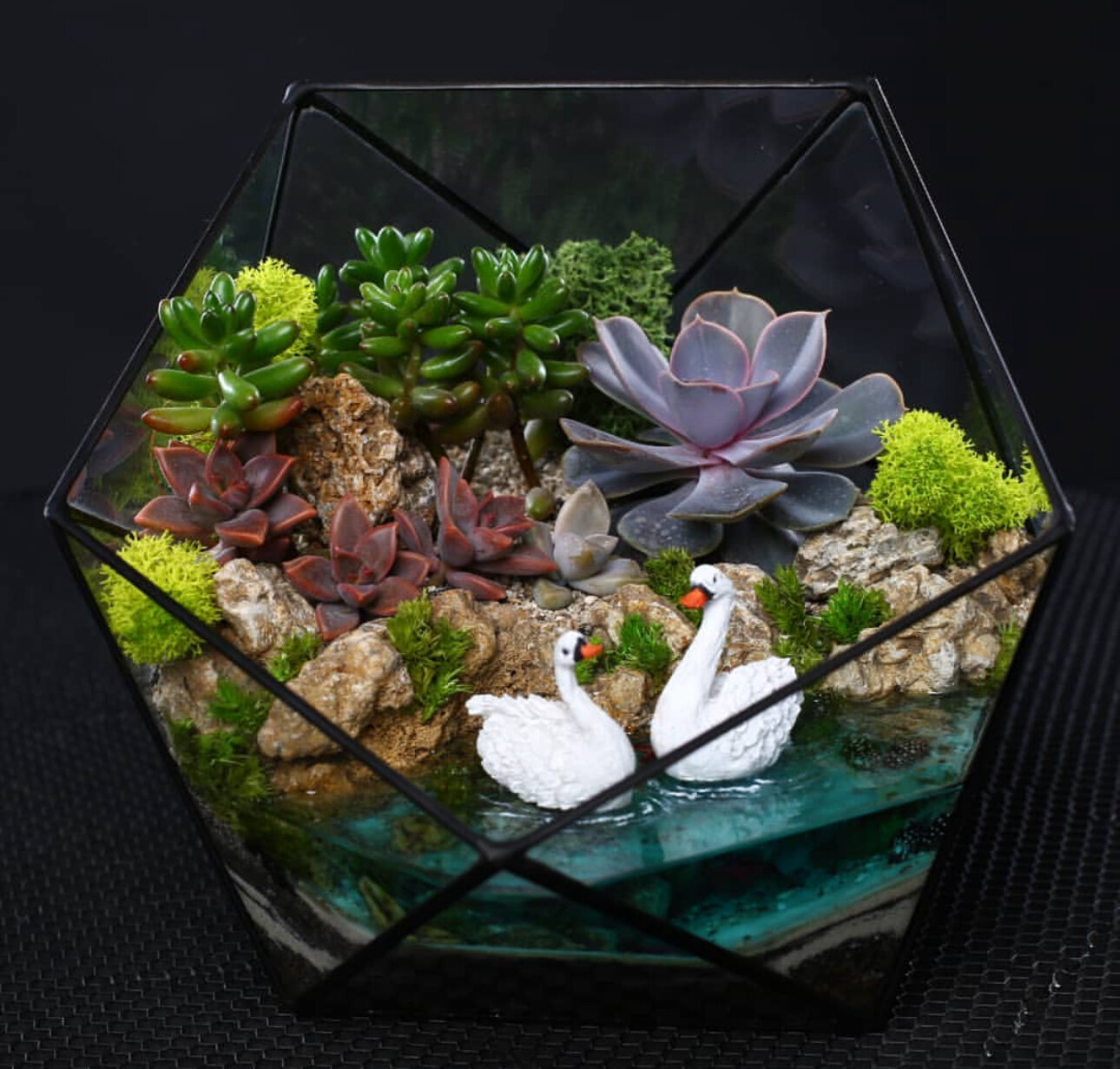 Флорариум икосаэдр идеальный подарок