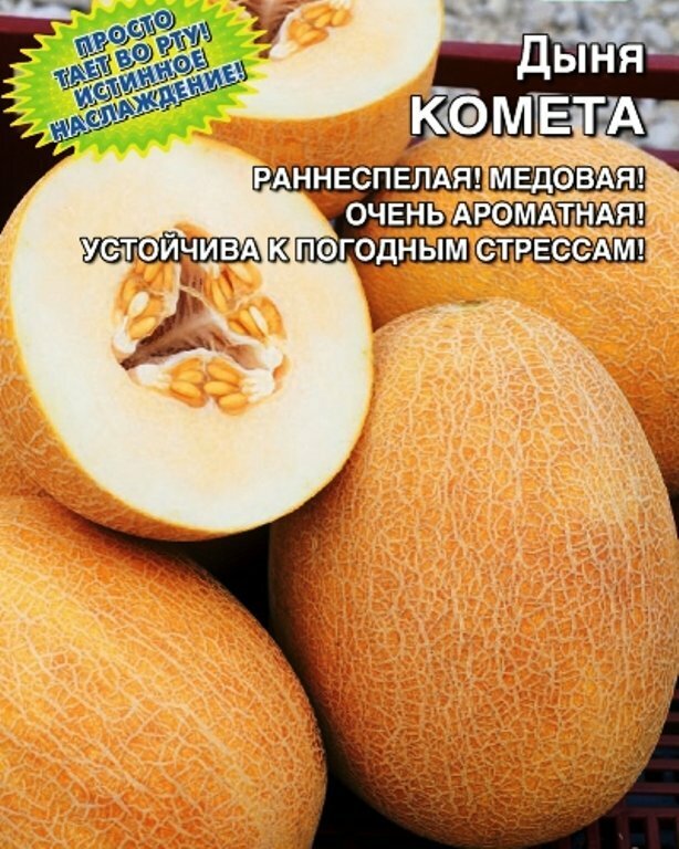 Семена Дыня Комета 10 шт.