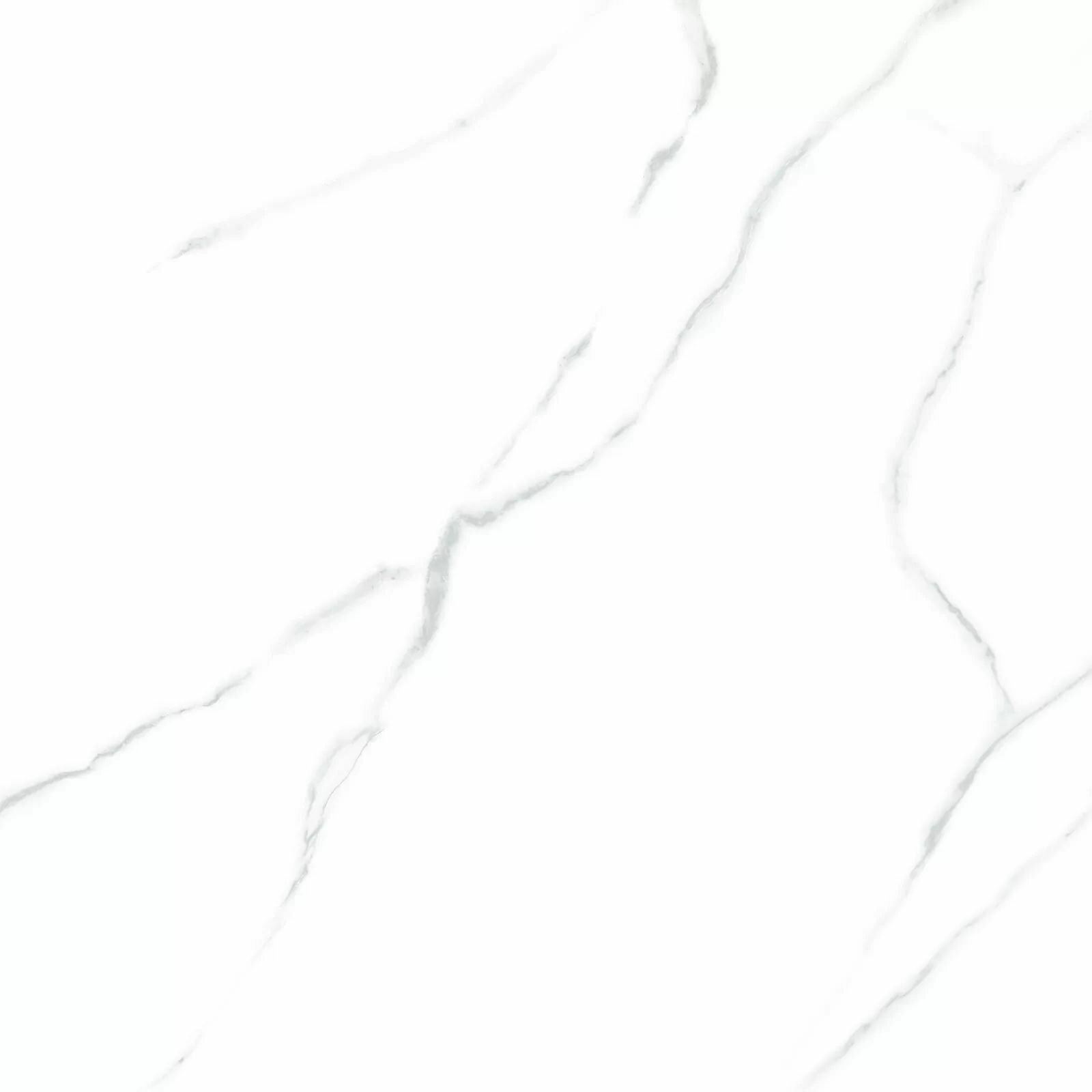Керамогранит LCM Atlantic Marble 6060AMR00P 60х60 белый полированная