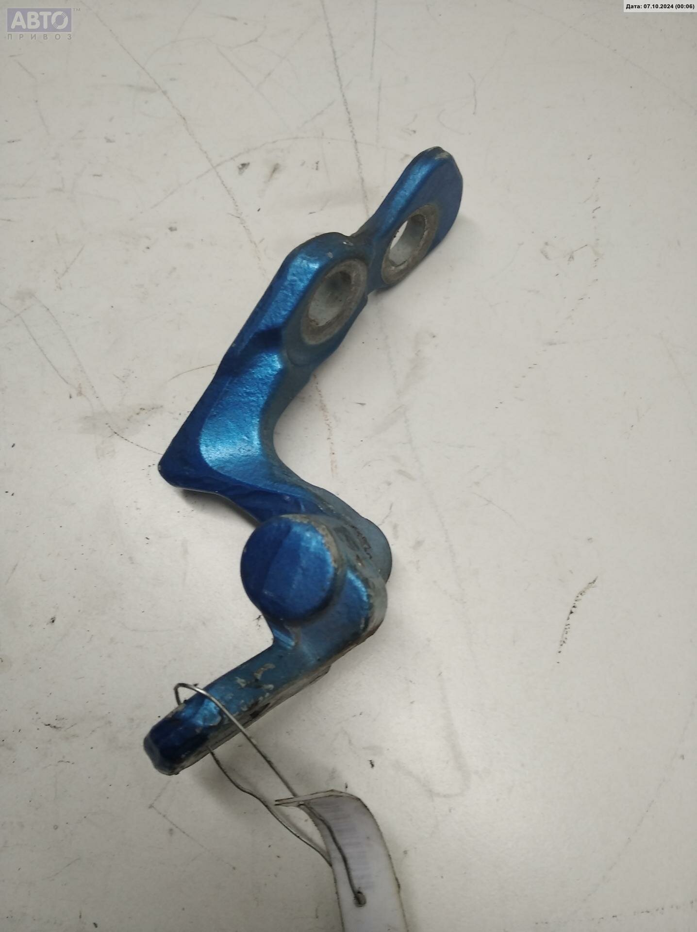 Петля двери передней правой Ford Focus 2 (2004-2010)