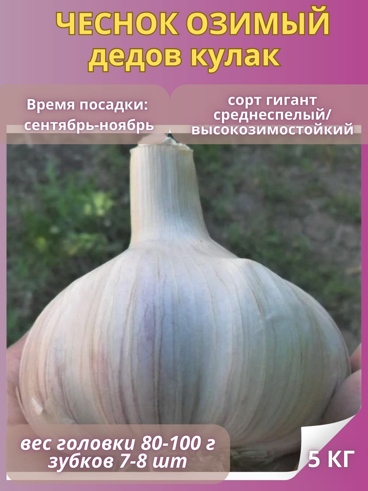Чеснок на посадку Дедов Кулак, озимый многолетний 5 кг