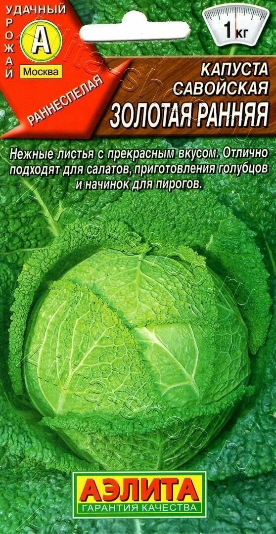 Капуста савойская Золотая ранняя (3 упаковки), семена