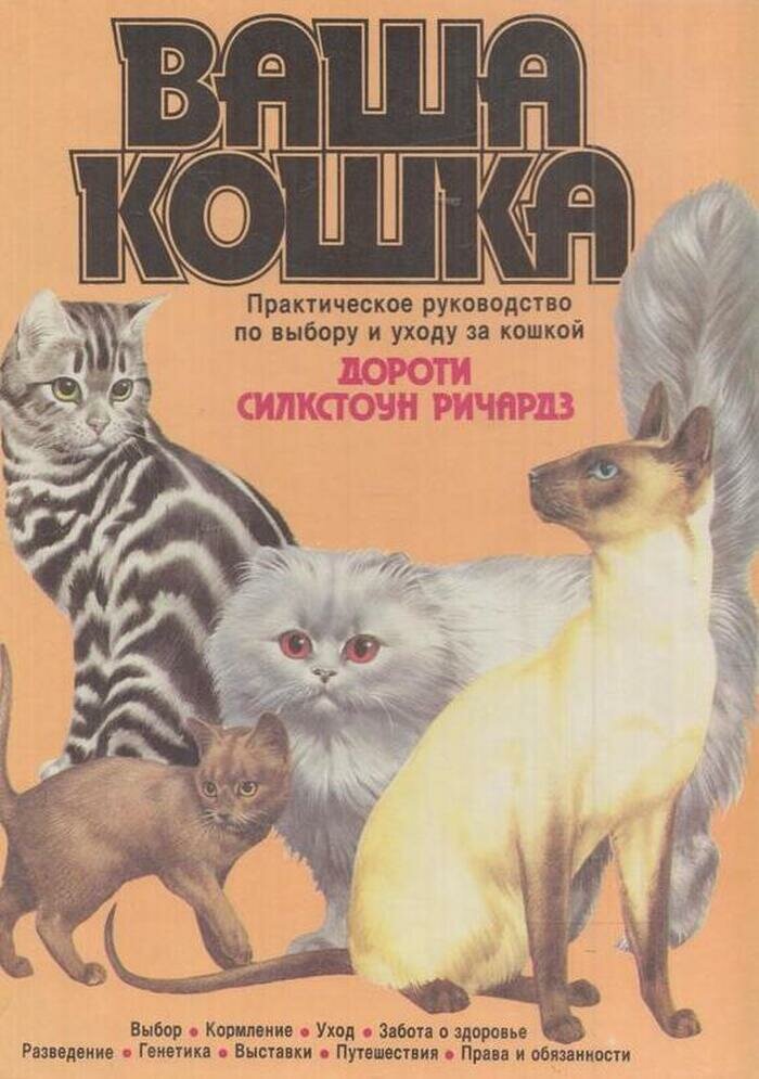 Ваша кошка