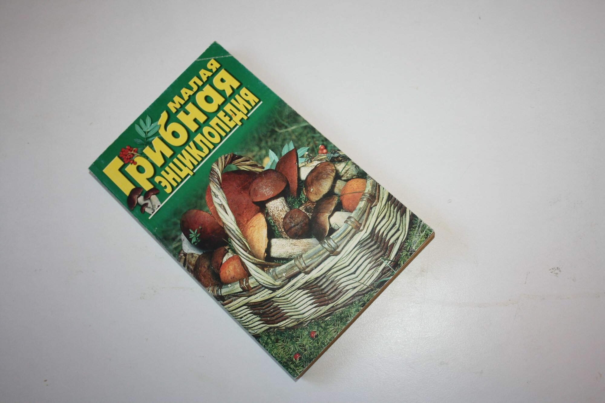 Малая грибная энциклопедия