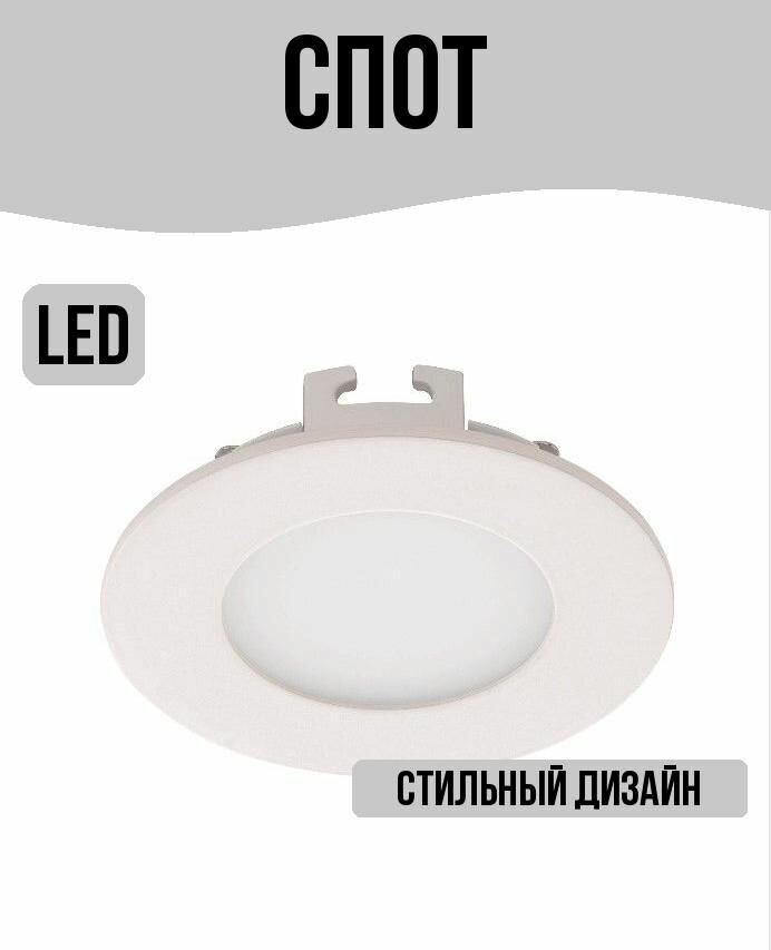 Спот