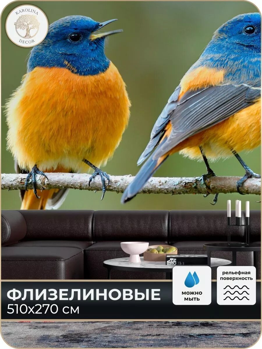 Фотообои Птицы в детскую в спальню на кухню 500х270