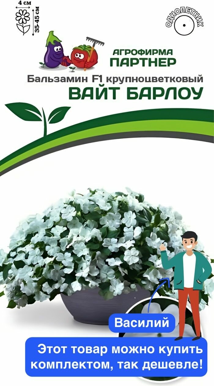 Цветы Бальзамин Уоллера крупноцветковый Вайт Барлоу F1