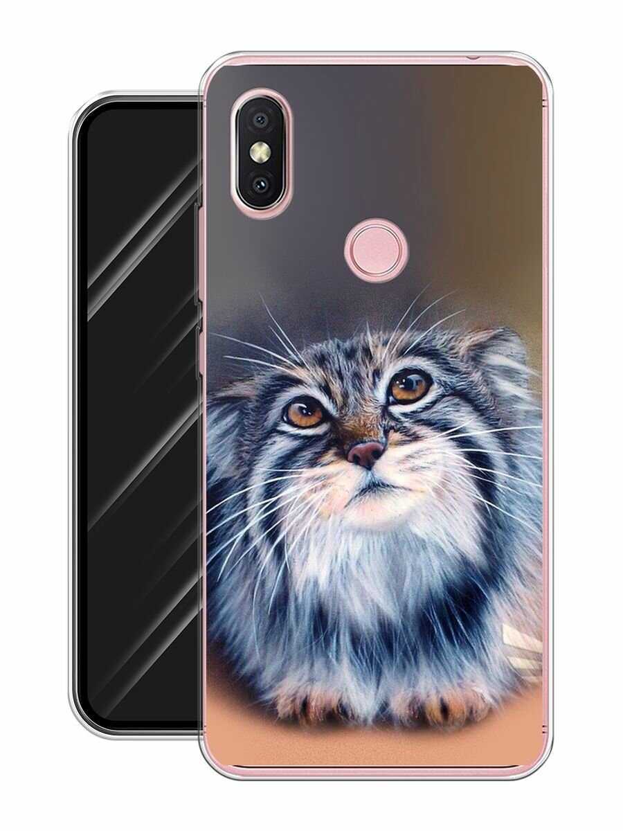 Чехол на Xiaomi Redmi S2 (Redmi Y2) / Сяоми Редми С2 (Редми Y2) с принтом "Кот манул 2" — фото 1