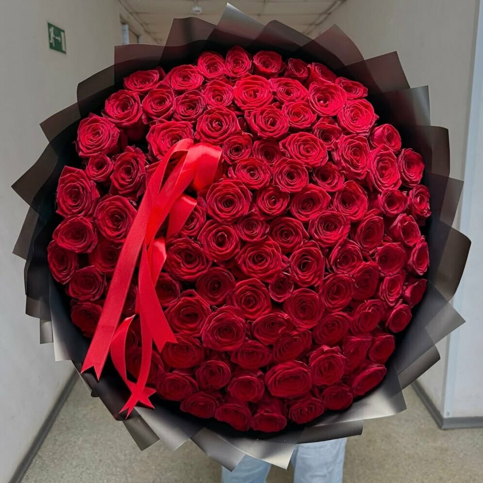Букет из красных роз 101 шт, красивый букет цветов, шикарный, премиум цветы, премиум букет