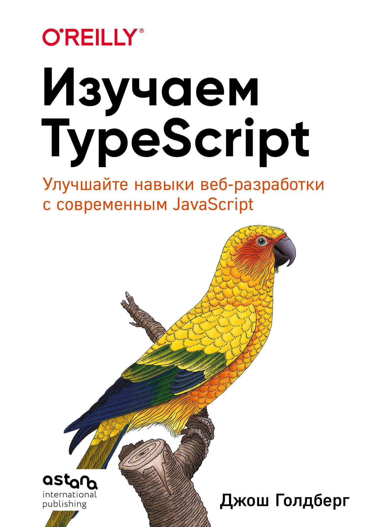 Книга "Изучаем TypeScript. Улучшайте навыки веб-разработки с современным JavaScript", автор Голдберг Д, издательство Astana international publishing
